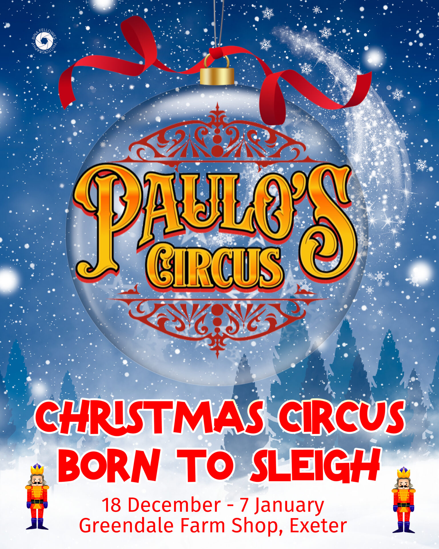 The Show - The Christmas Circus