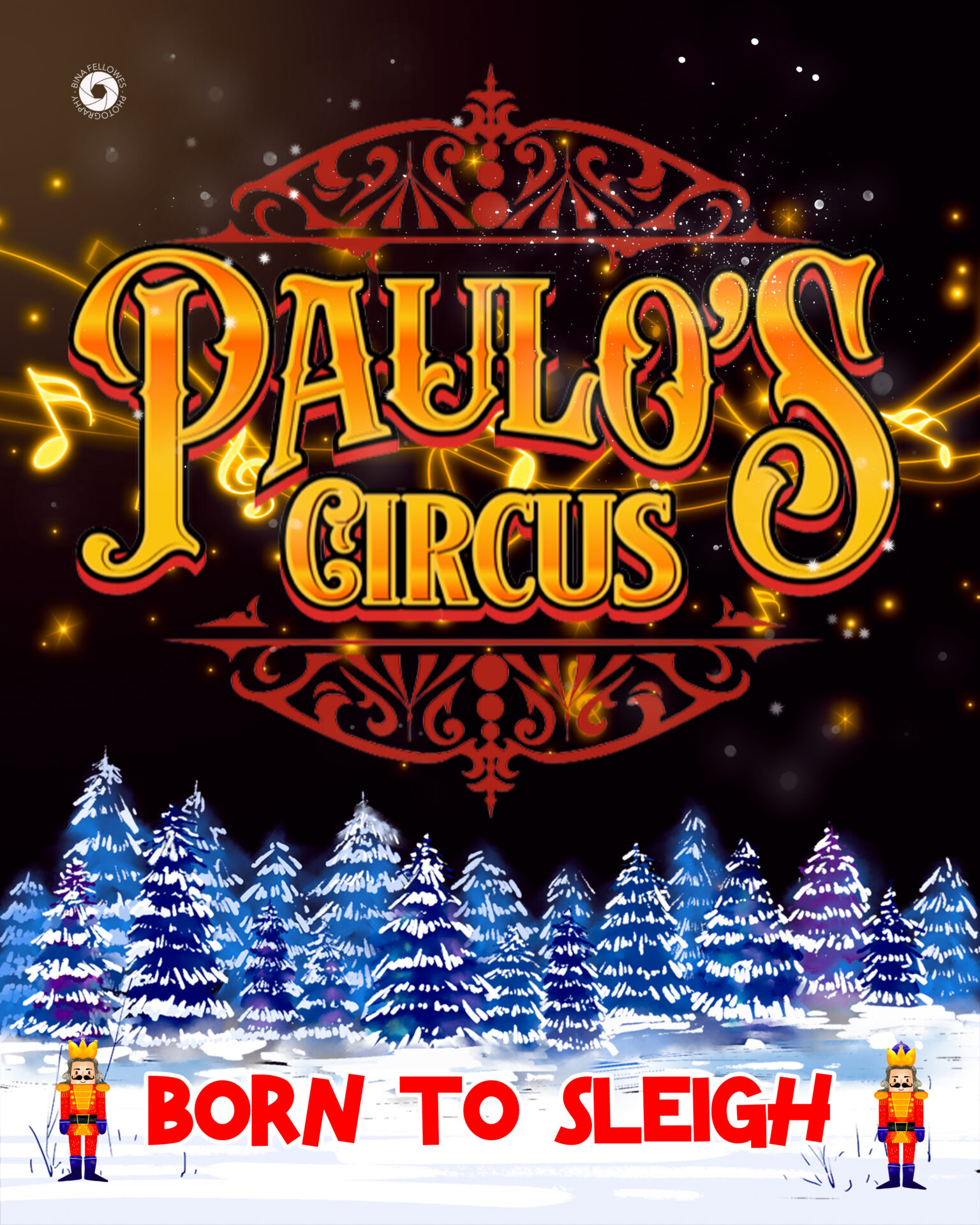 Exeter Christmas Circus - The Christmas Circus